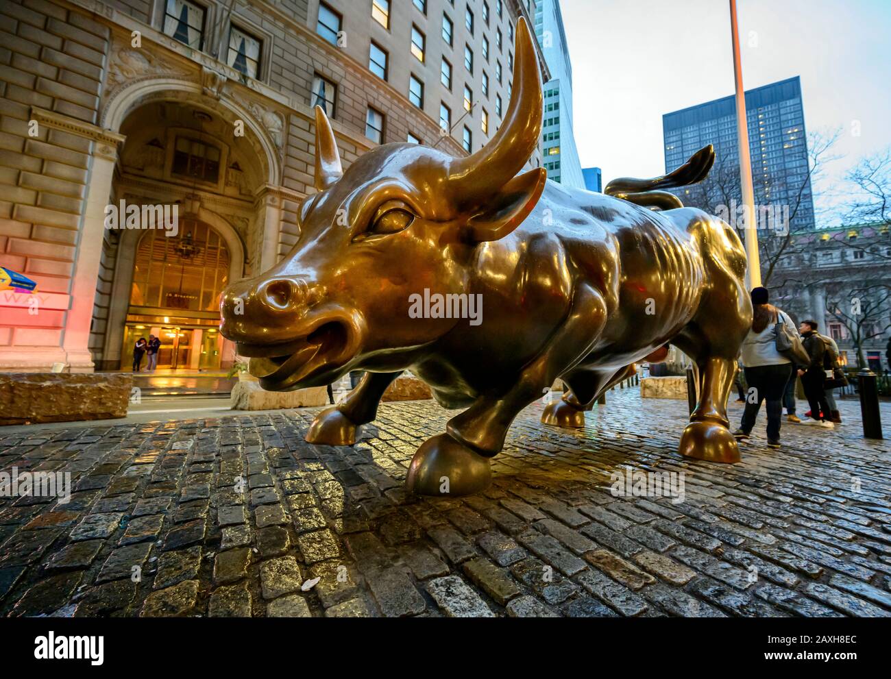 NEW YORK CITY - FEBRUARY 2: Charging Bull sculpture on February 2, 2020 ...
