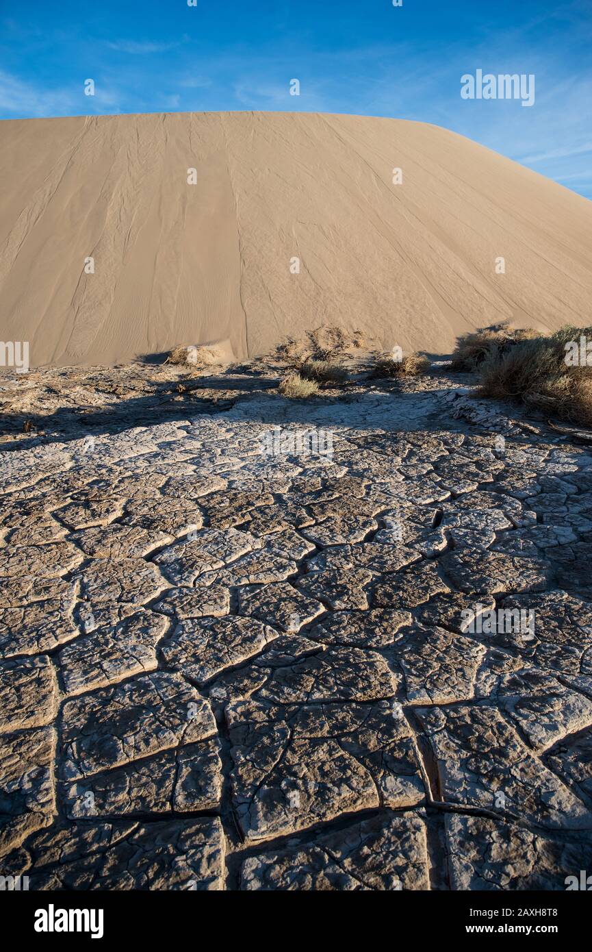 Mesquite flat sand Dunes, dunes, Death Valley National Park, California ...