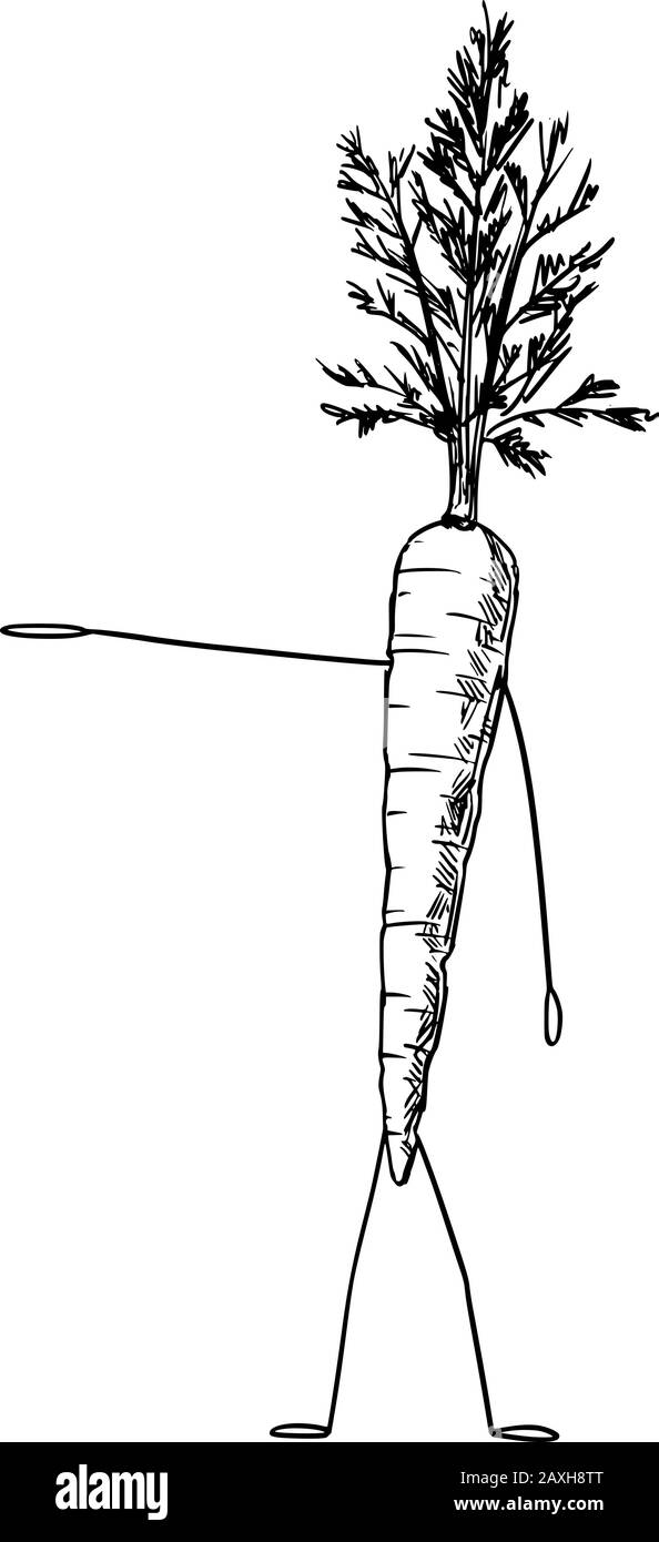 Vector illustration of cartoon carrot vegetable character showing or ...