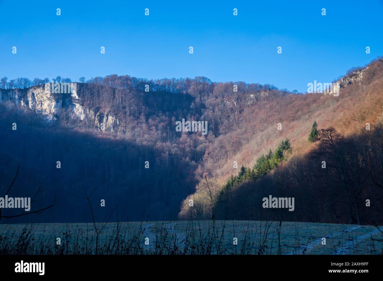Rocky mountain forest on the swabian alb hi-res stock photography and ...