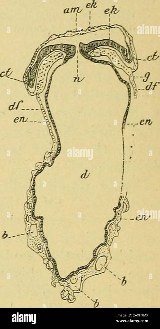 The practice of obstetrics, designed for the use of students and ...