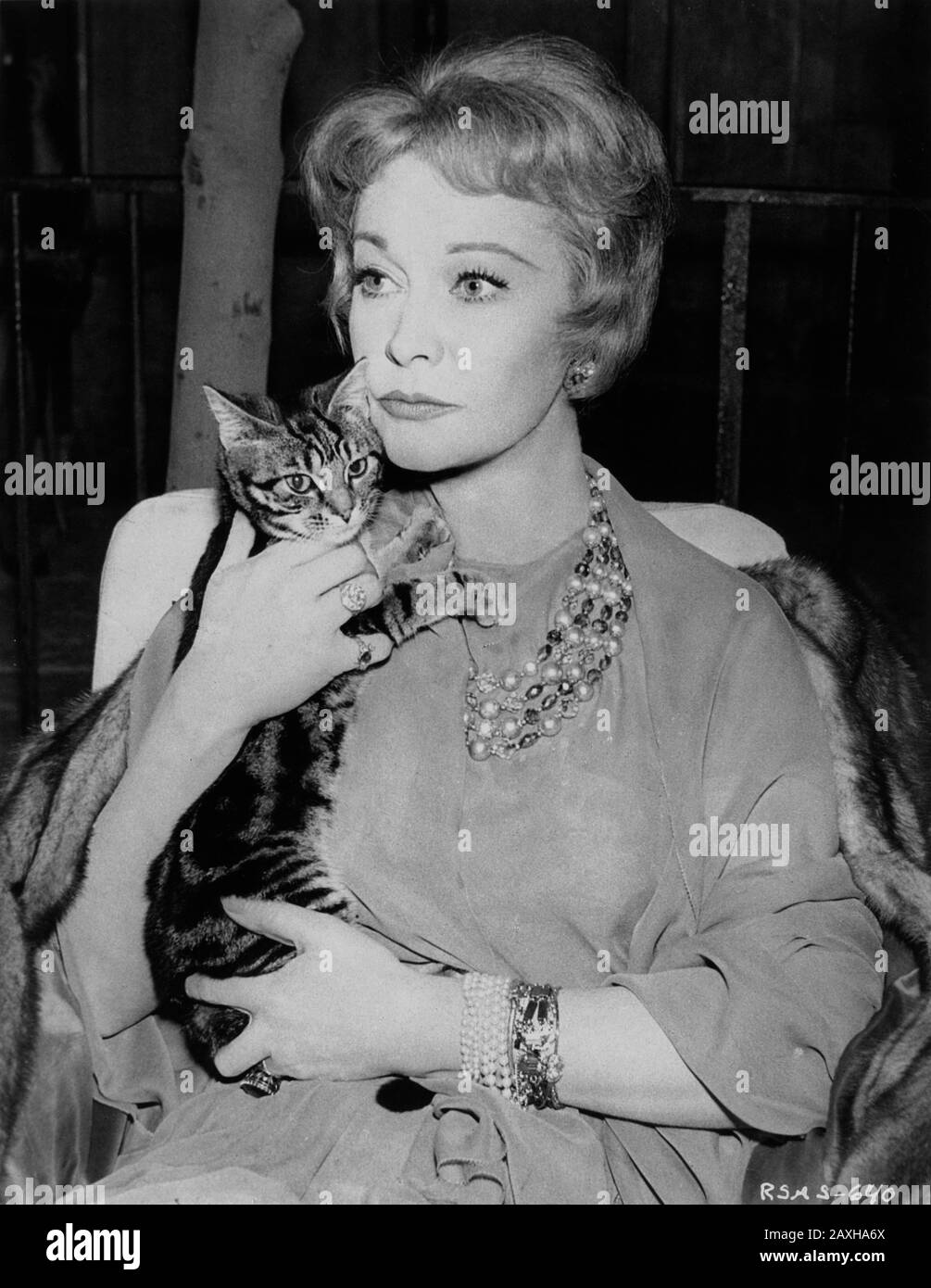 VIVIEN LEIGH on set candid with cat during filming of THE ROMAN SPRING ...
