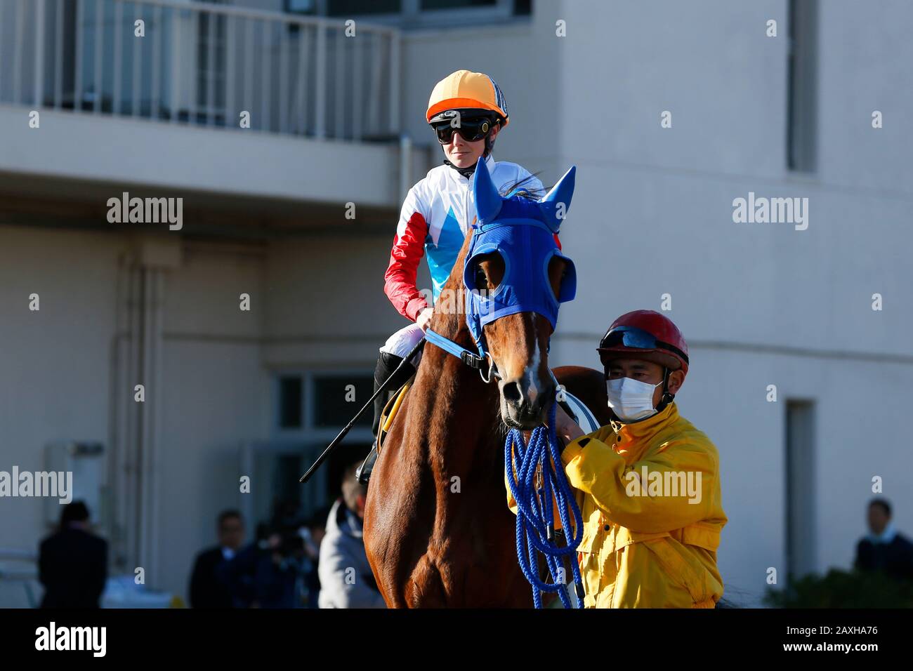 Chiba, Japan. 12th Feb, 2020. Mickaelle Michel Horse Racing : Funabashi ...