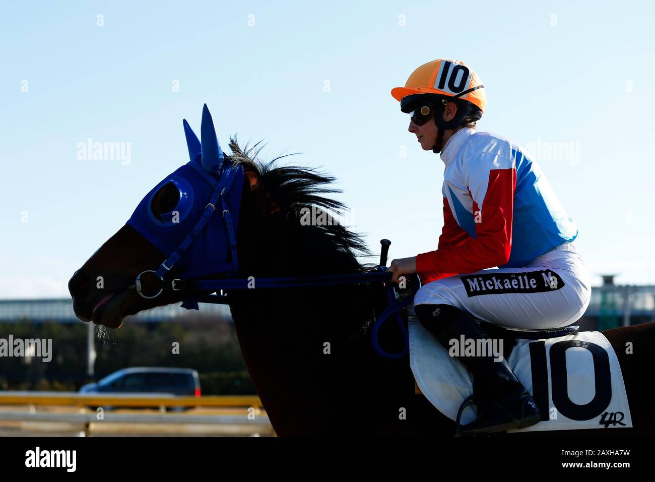 Chiba, Japan. 12th Feb, 2020. Mickaelle Michel Horse Racing : Funabashi ...