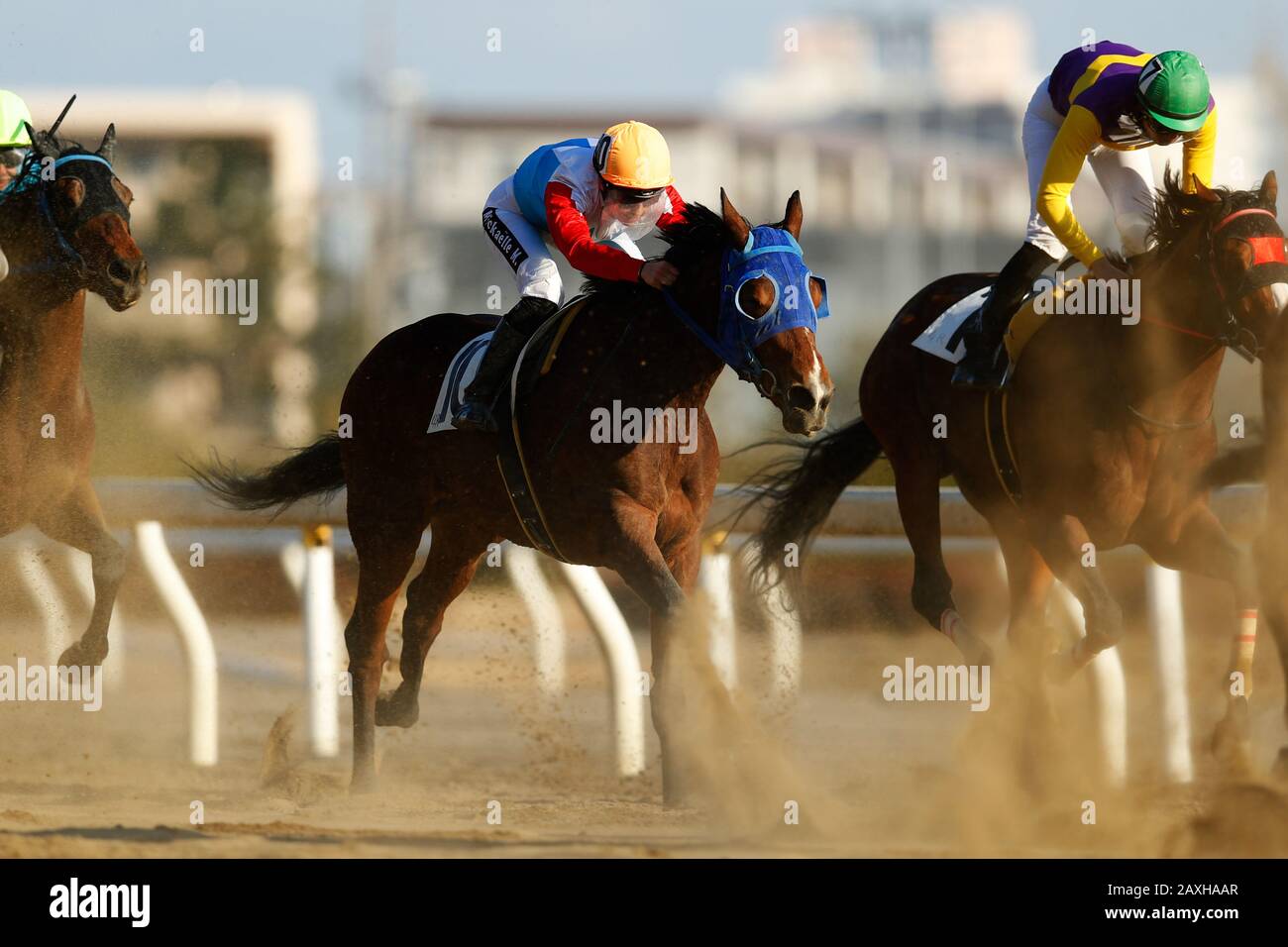 Chiba, Japan. 12th Feb, 2020. Mickaelle Michel Horse Racing : Funabashi ...