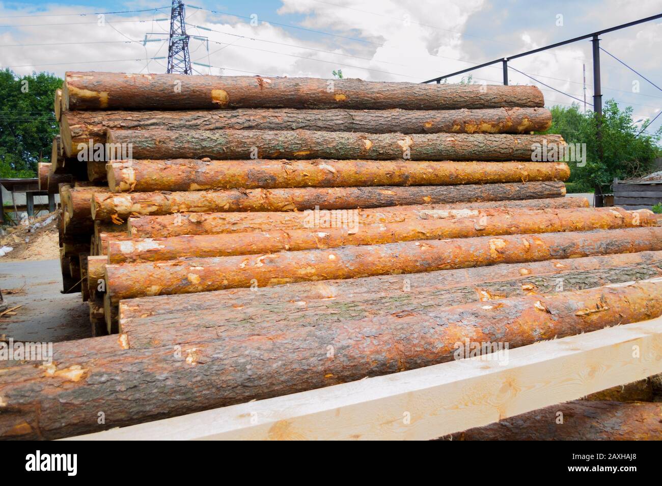 Sawmill. Warehouse timber stack of Logs of pine for sawing beams boards lumber outdoors Stock ...