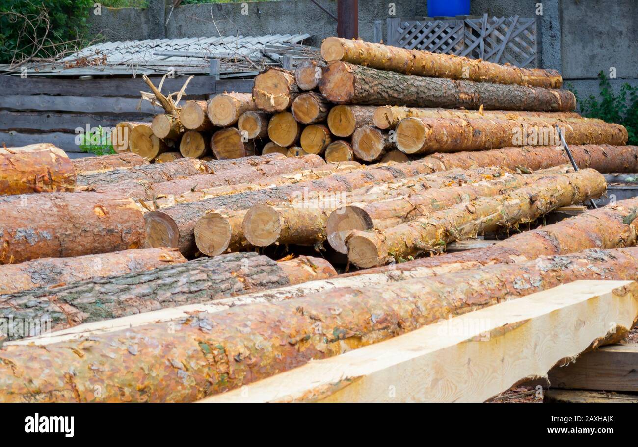 Sawmill. Warehouse timber stack of Logs of pine for sawing beams boards lumber outdoors Stock ...