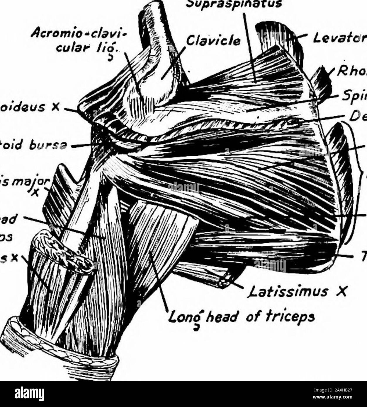Quadrangular Space Drawing