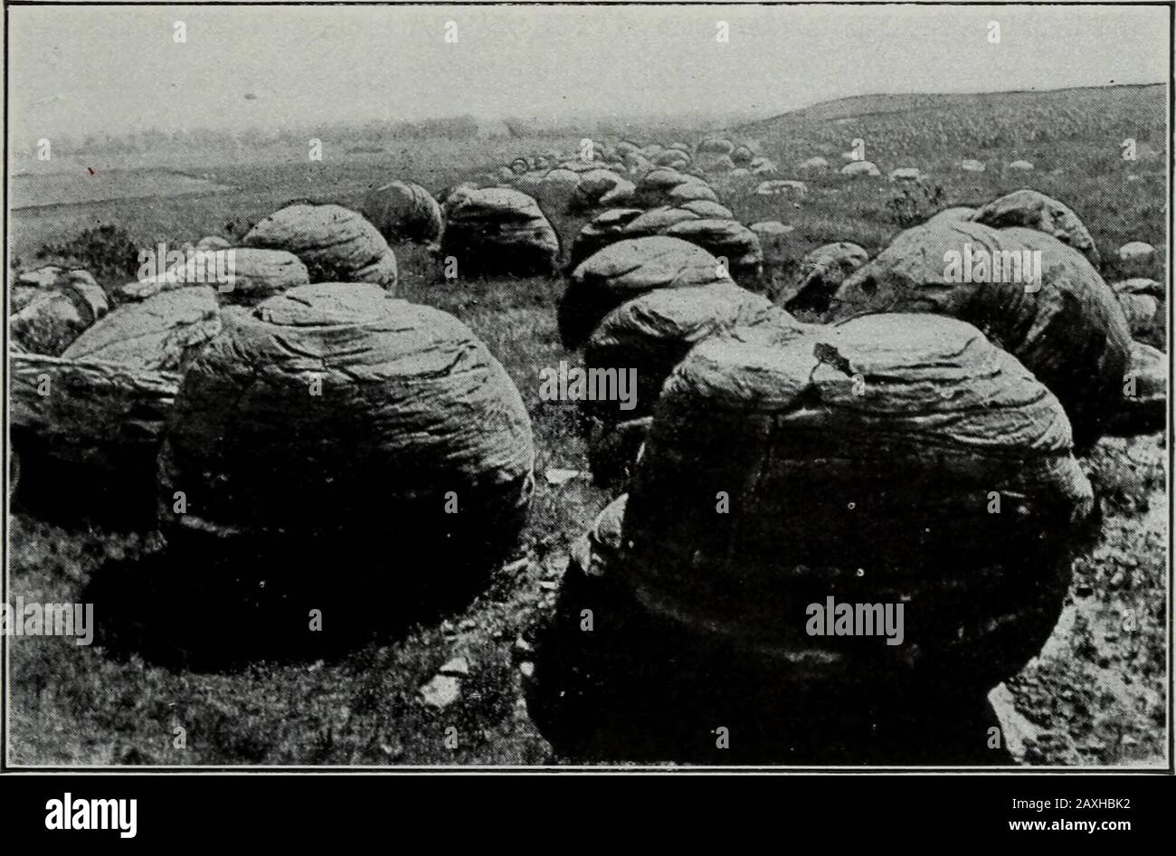 Dakota sandstone concretion hi-res stock photography and images - Alamy