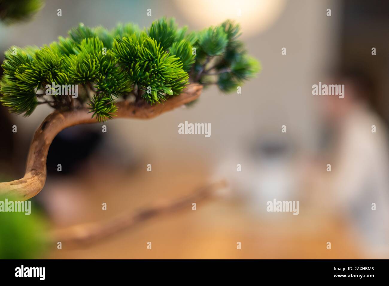 Chinese Pine Tree concept background Stock Photo - Alamy
