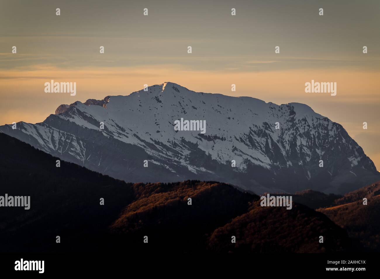 Monzesi hi-res stock photography and images - Alamy