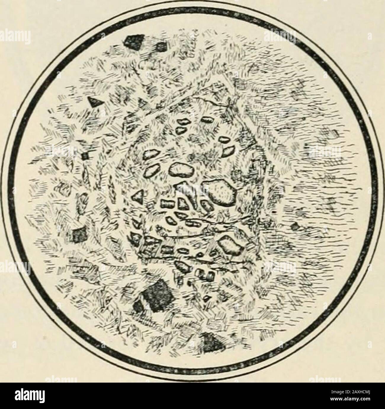 Minerals in rock sections; the practical methods of identifying ...