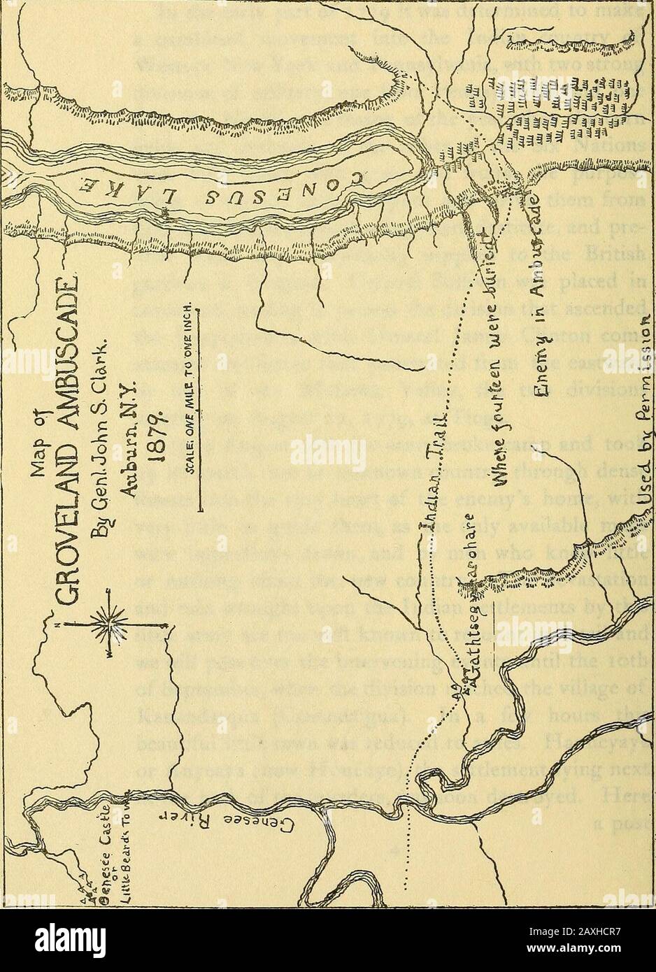 Denseforests hi-res stock photography and images - Alamy