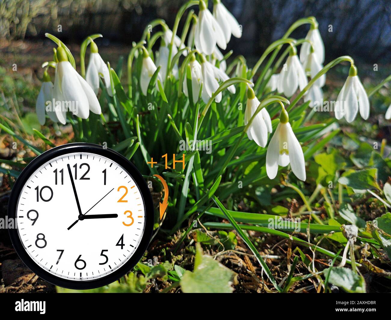 Daylight Saving Time (DST). Blue sky with white clouds and clock. Turn ...