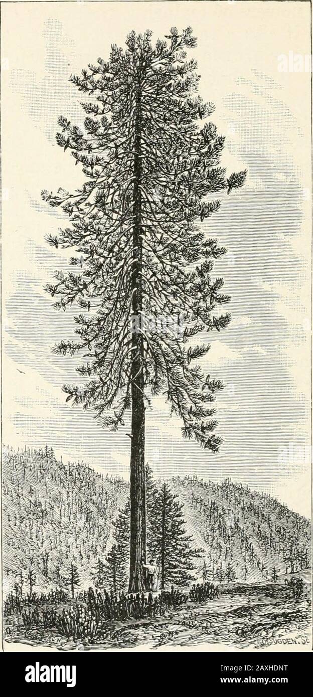 220 feet high hi-res stock photography and images - Alamy