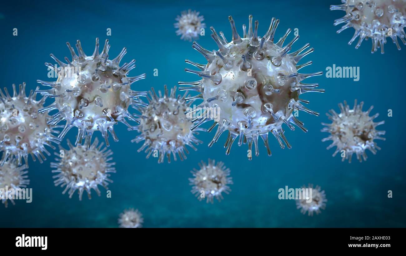 Common Cold Bacteria