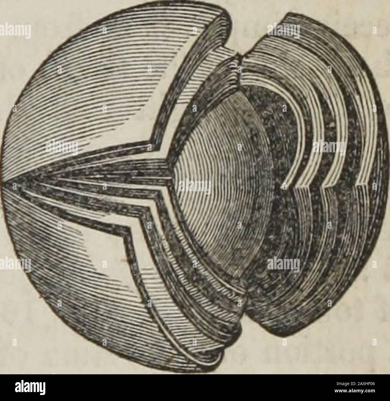 Choroid coat hi-res stock photography and images - Alamy