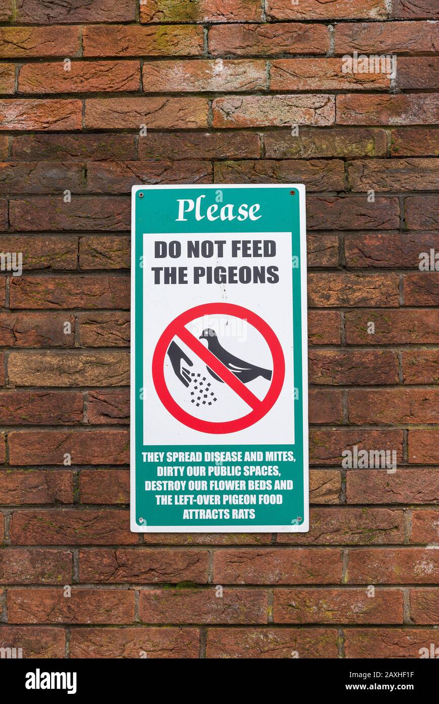 Sign with illustration saying "do not feed the pigeons" in Dudley, West ...