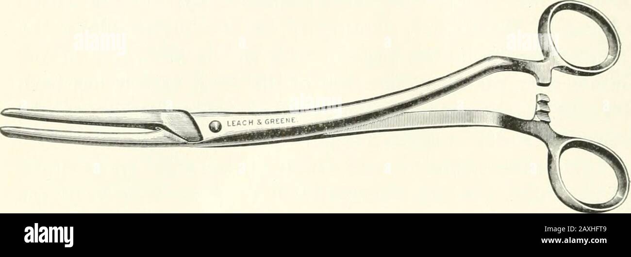 Nephrectomy hi-res stock photography and images - Alamy