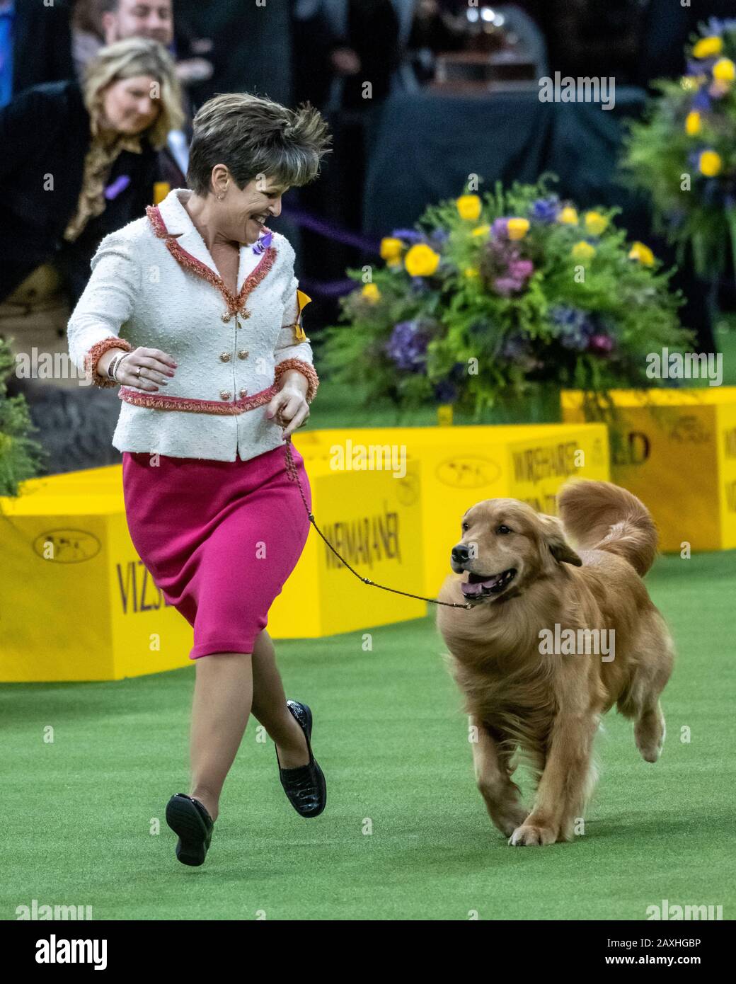 Animal crowd cheering hi-res stock photography and images - Alamy