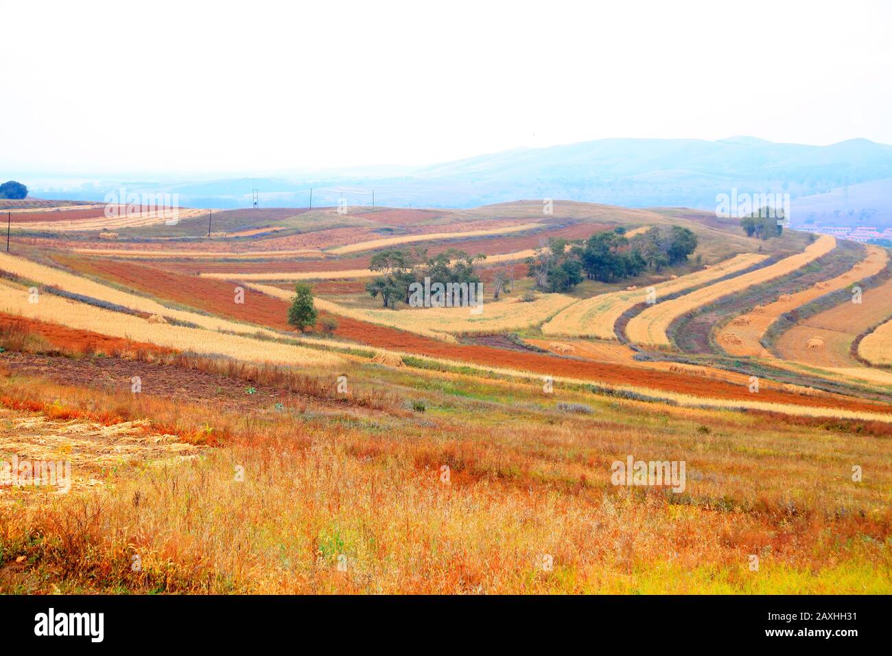 Grain planting color color season hi-res stock photography and images ...