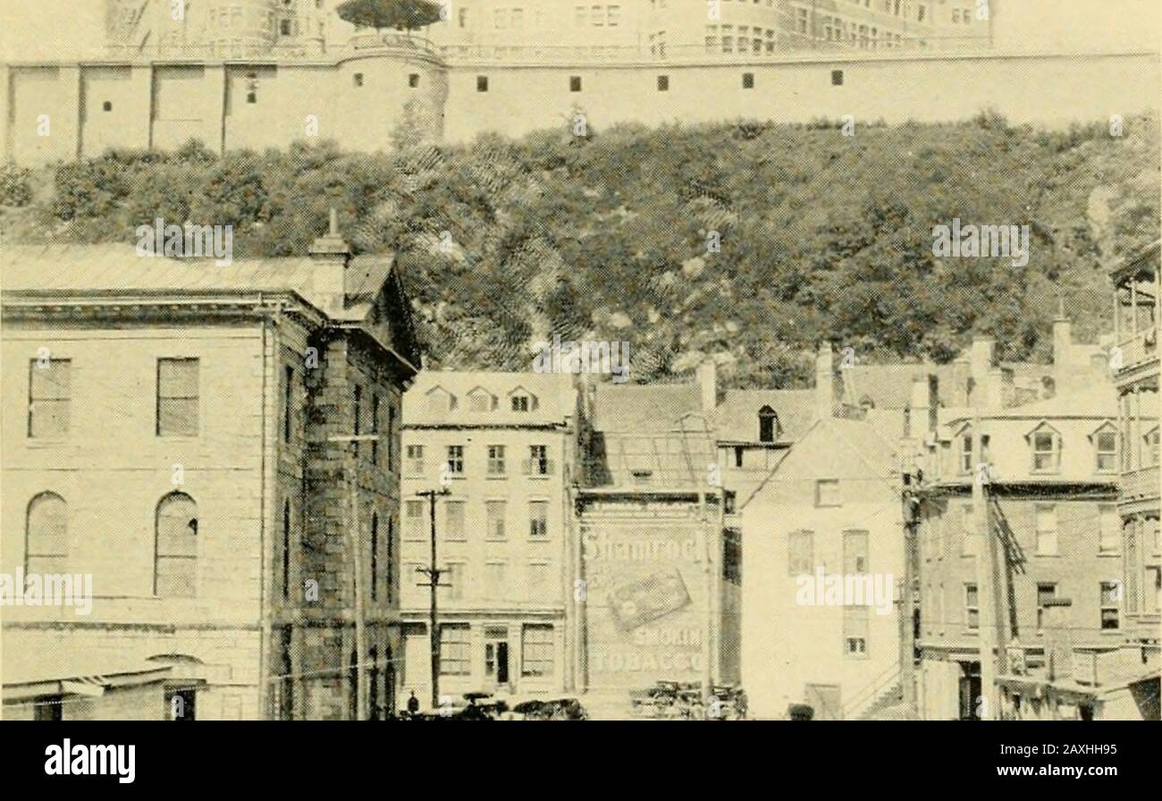 Canada fine tree grass hi-res stock photography and images - Alamy