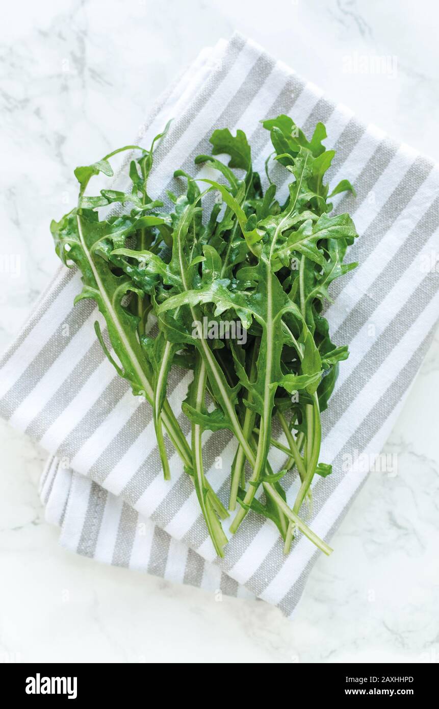 Bunch of fresh arugula on marble background. Fresh arugula herb leaves ...
