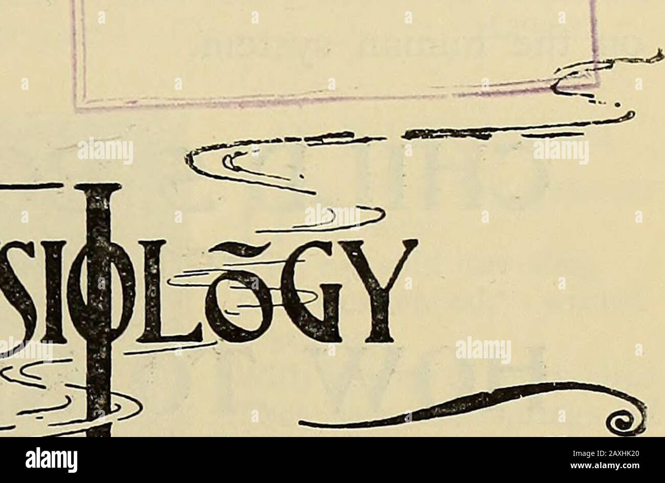 Ournal hi-res stock photography and images - Alamy