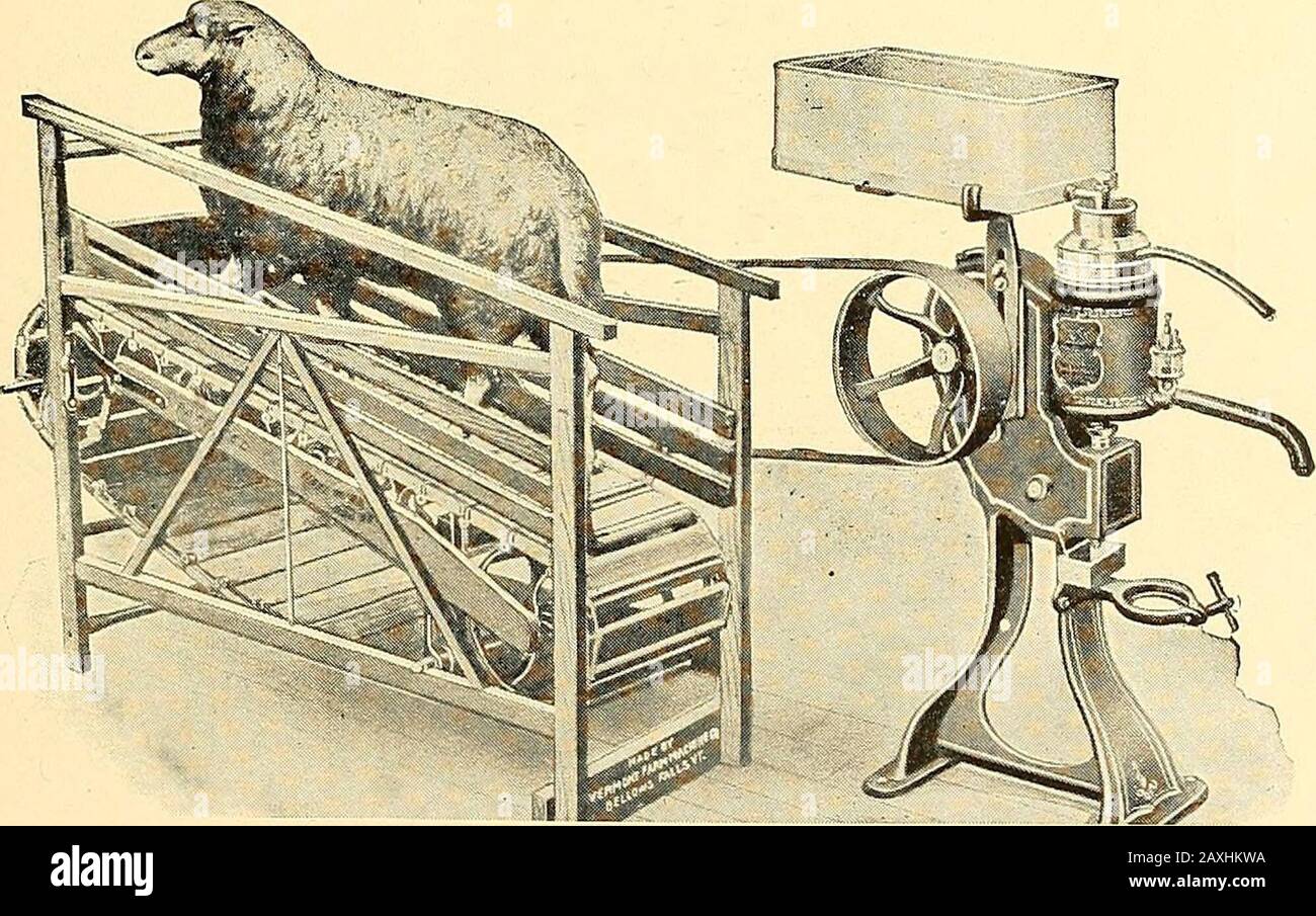 Queen separator hi-res stock photography and images - Alamy