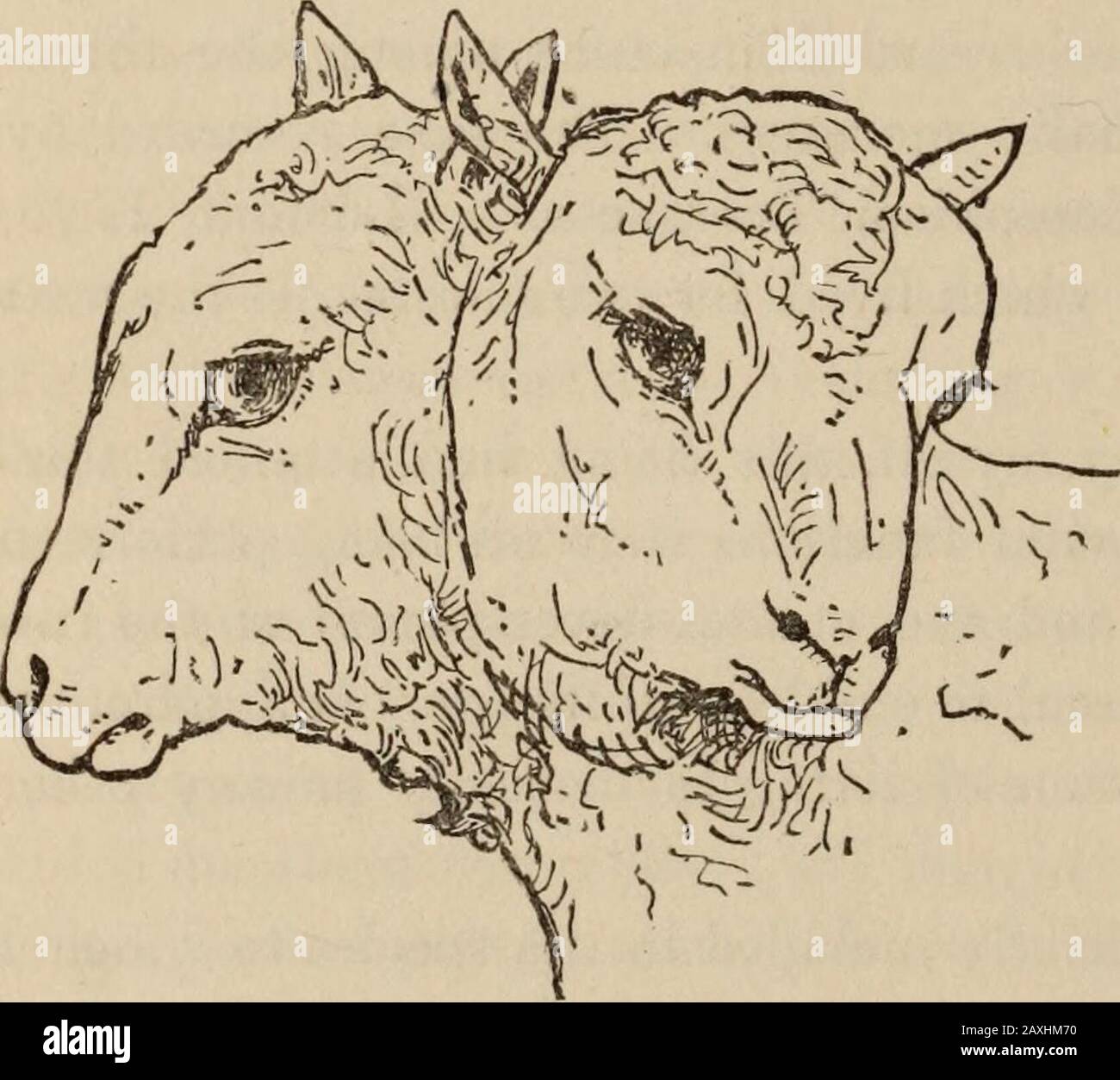 Obtuse angle hi-res stock photography and images - Alamy