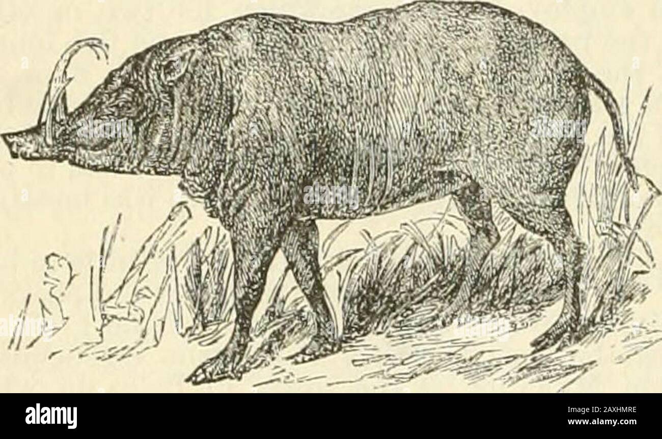 Chambers's encyclopaedia; a dictionary of universal knowledge for the ...