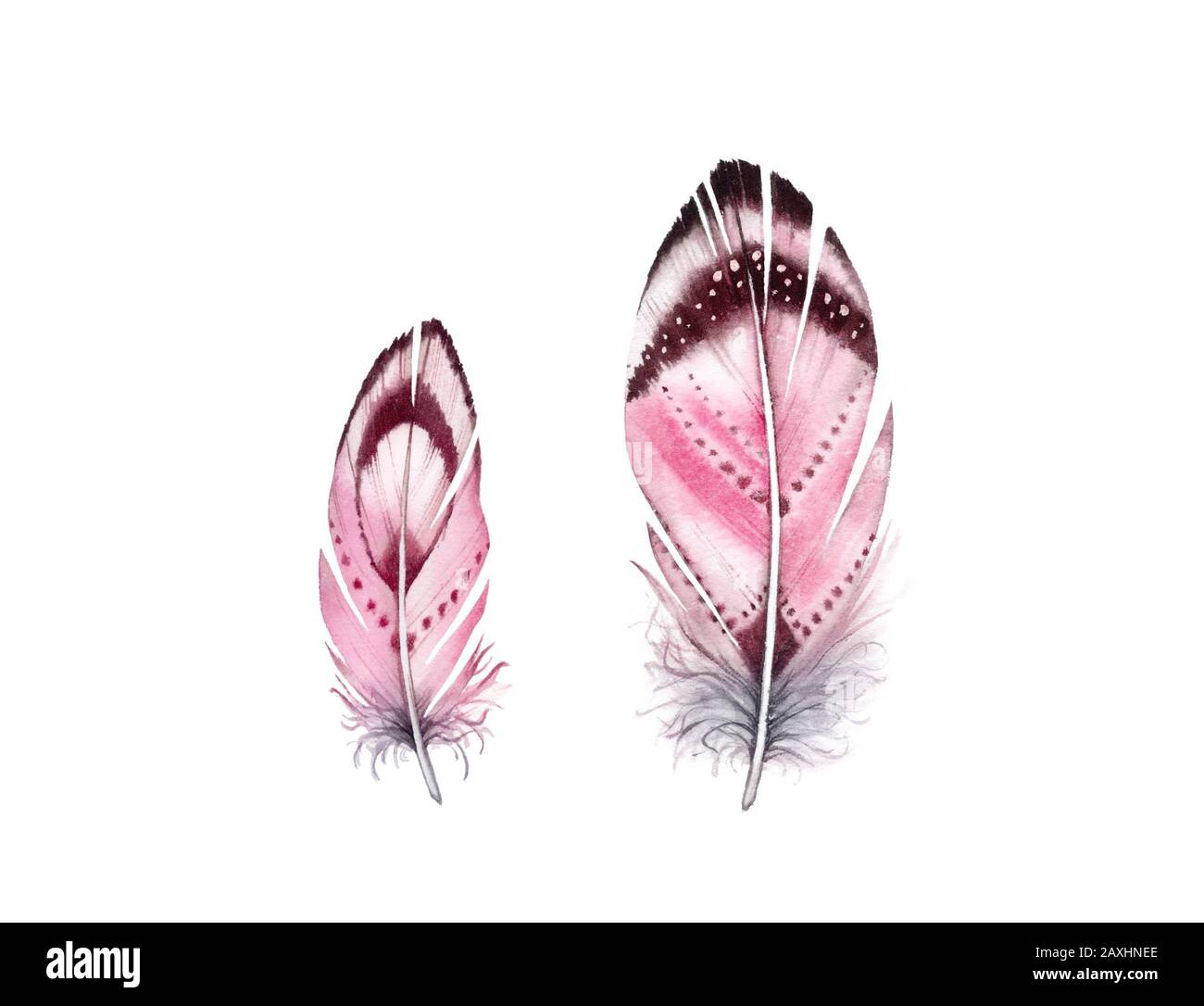 Watercolor Feather Paintings