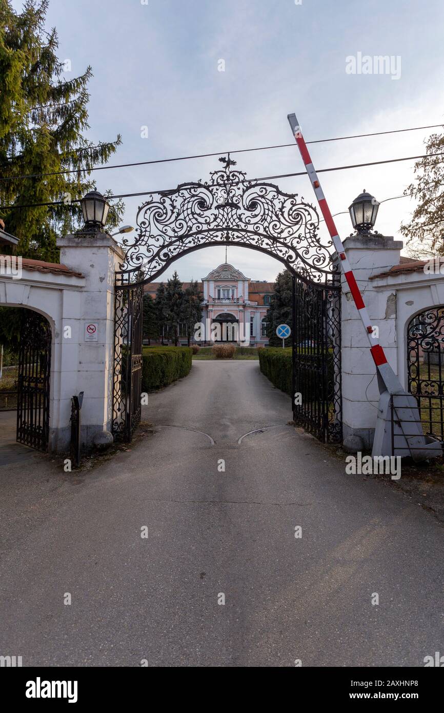 Gate of the Solymosy-Gyurky castle now Selye Janos Hospital in Komarom ...