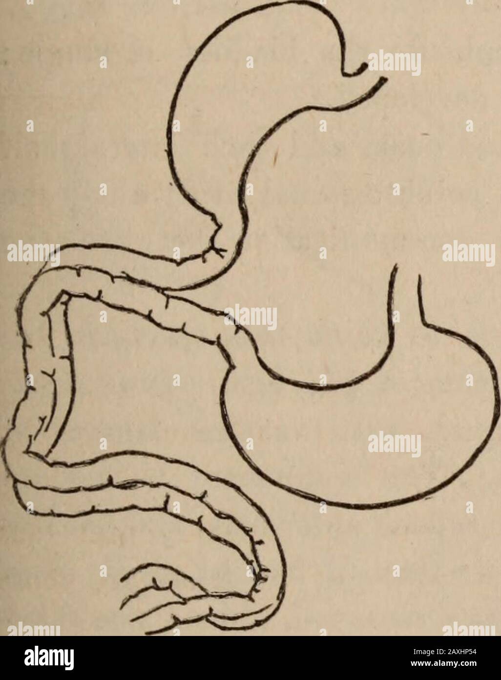 Chicago medical journal and examiner . onlyone present. The right ...