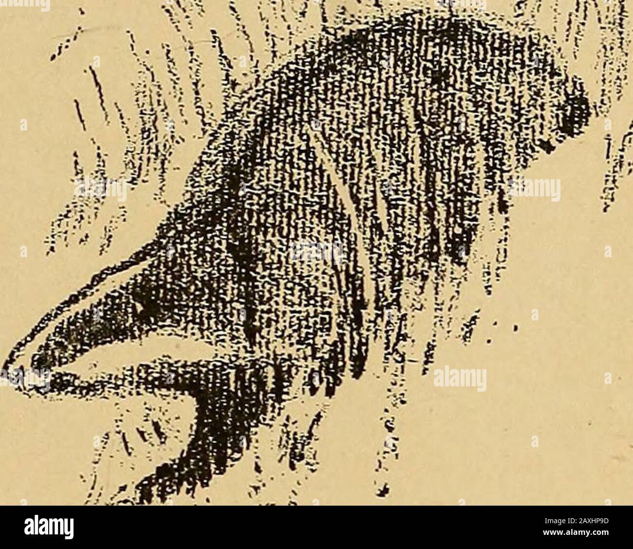 Sinuous body hi-res stock photography and images - Alamy