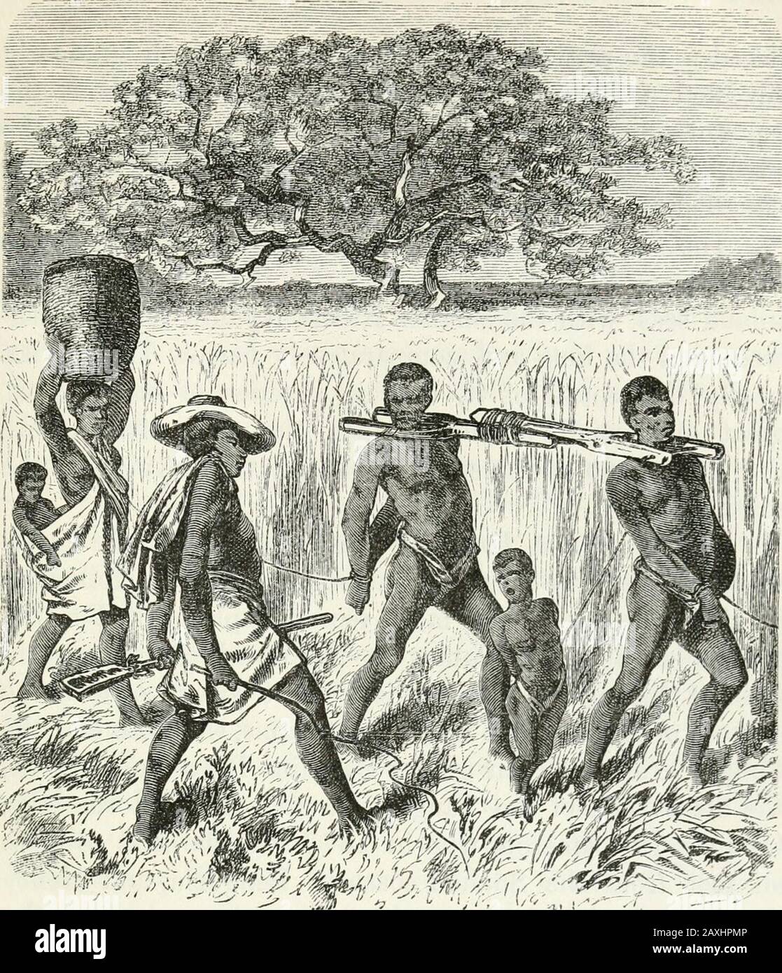 Slave trade routes hi-res stock photography and images - Alamy