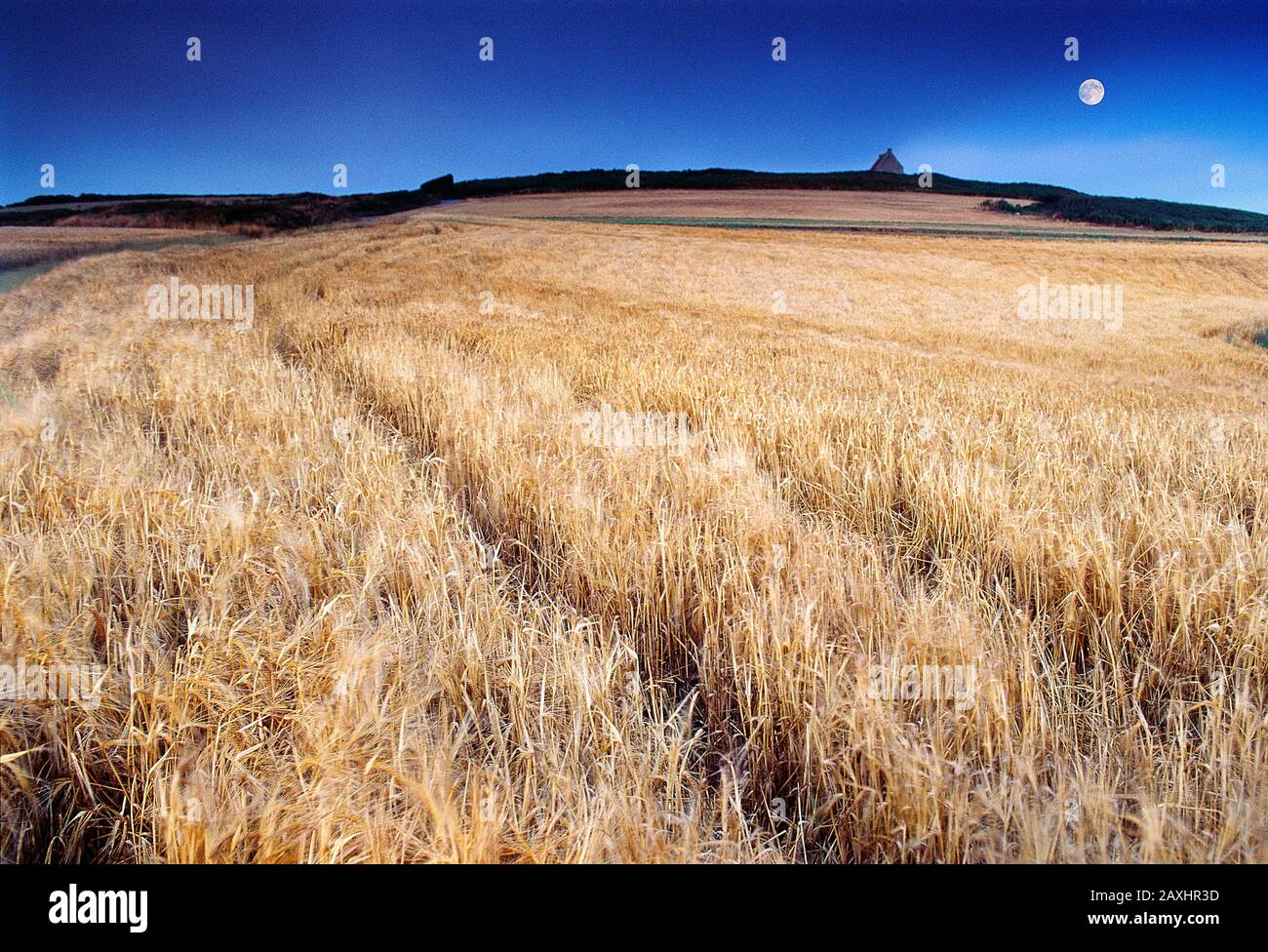 Guernsey farm house hi-res stock photography and images - Alamy