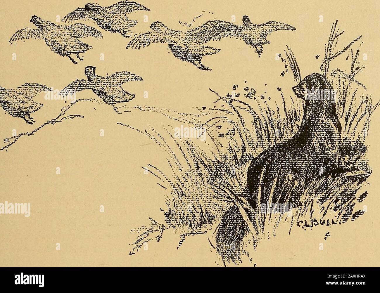 Home fice hi-res stock photography and images - Alamy