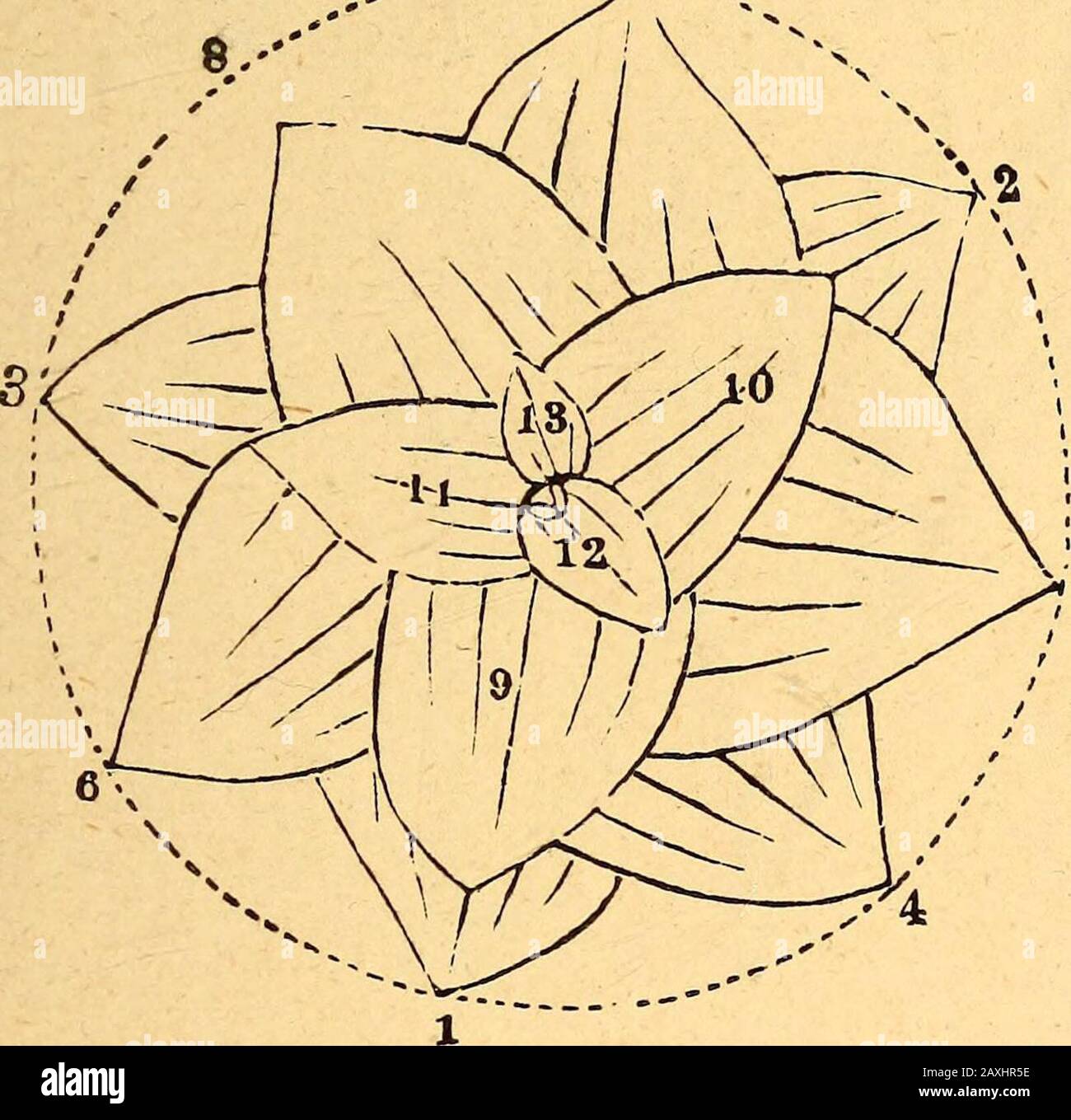 Left handed spiral hi-res stock photography and images - Alamy