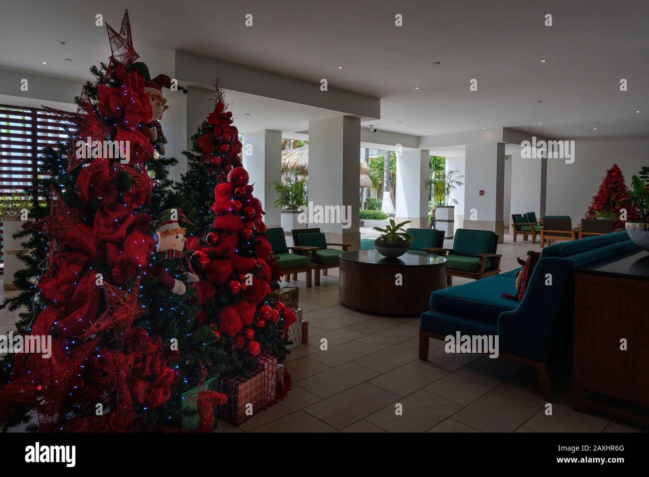 Trees and decorations in a room in Aruba Stock Photo - Alamy