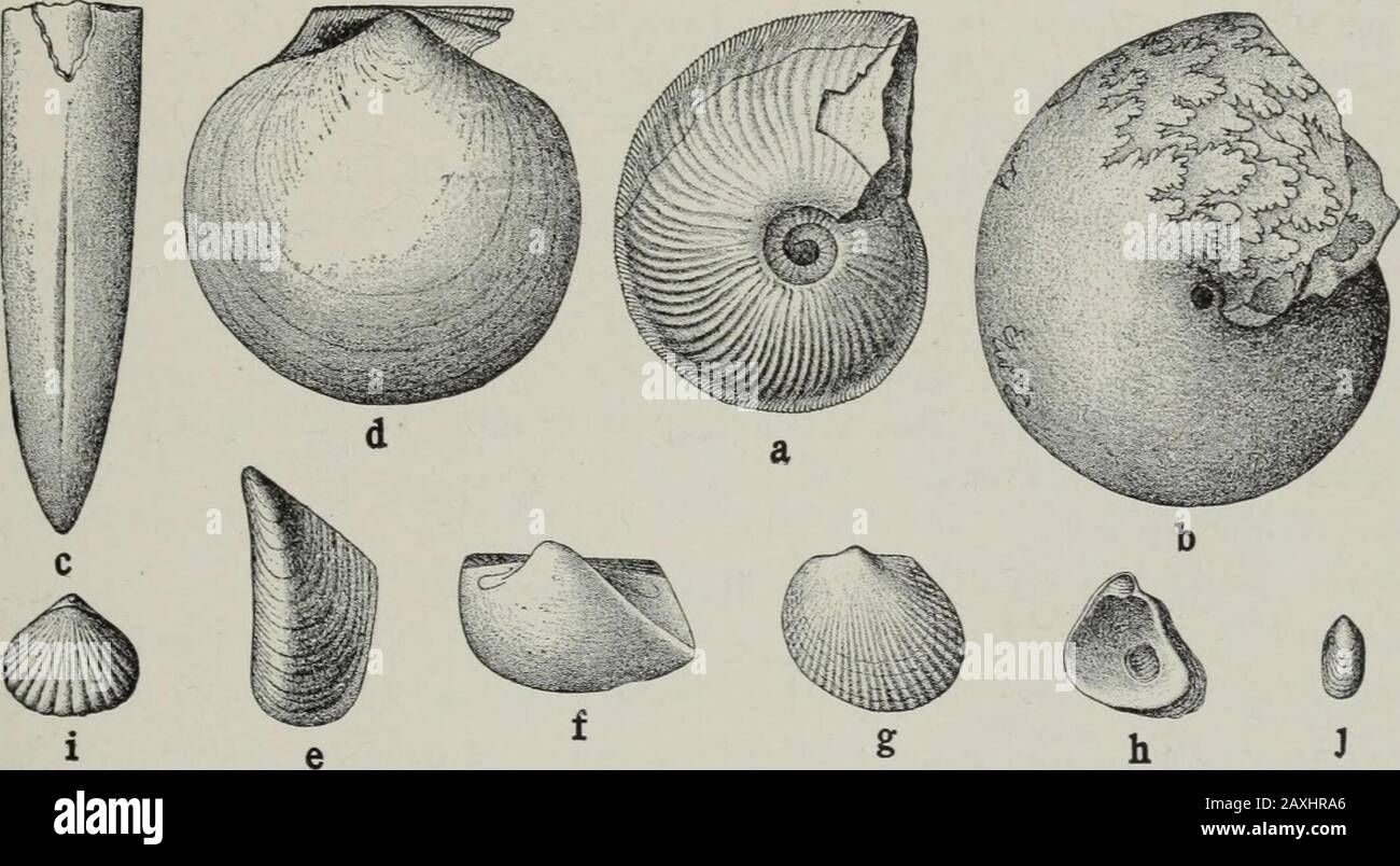 Trias jurassic hi-res stock photography and images - Alamy