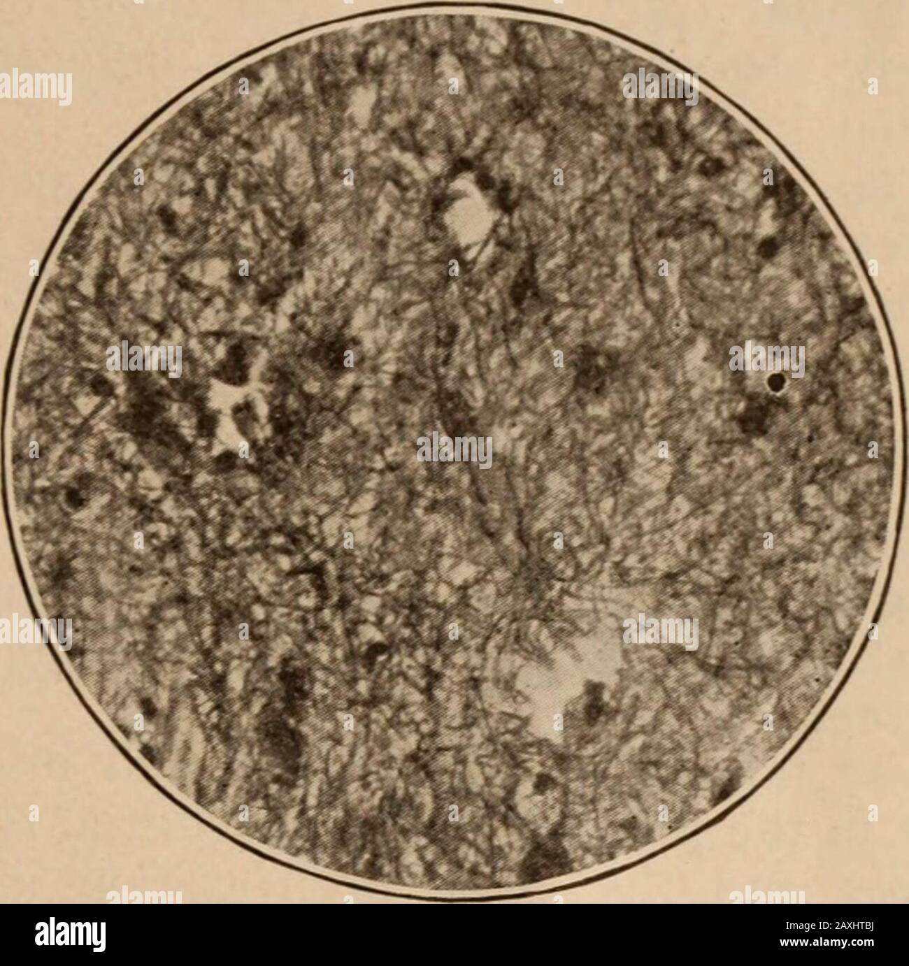 Journal of the Medical Society of New Jersey . dulla and to a lesser ex ...