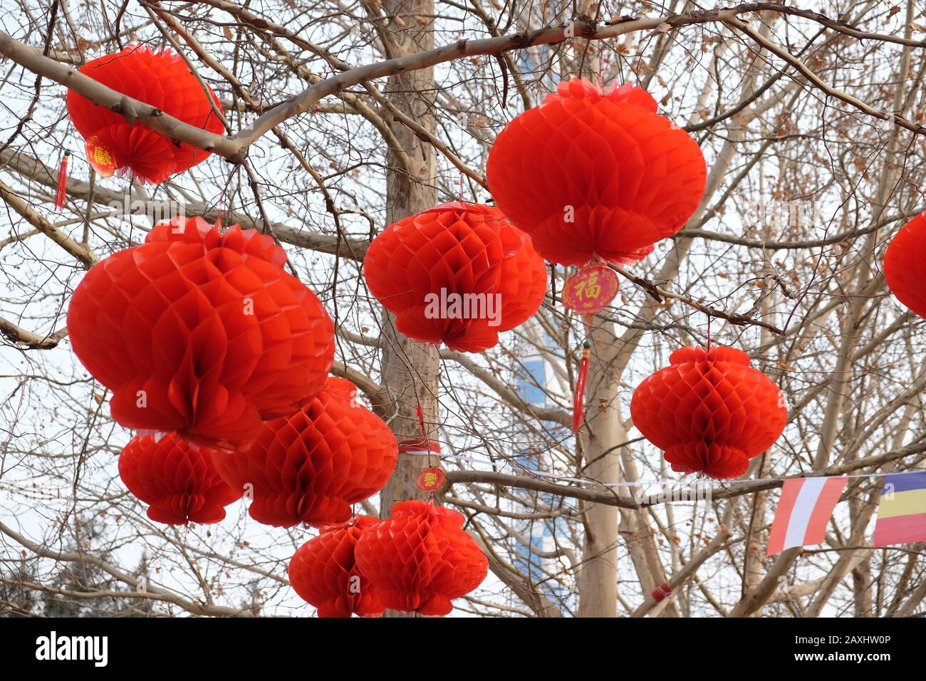 Photo of red Chinese lanterns hanging from trees with Chinese scripts ...