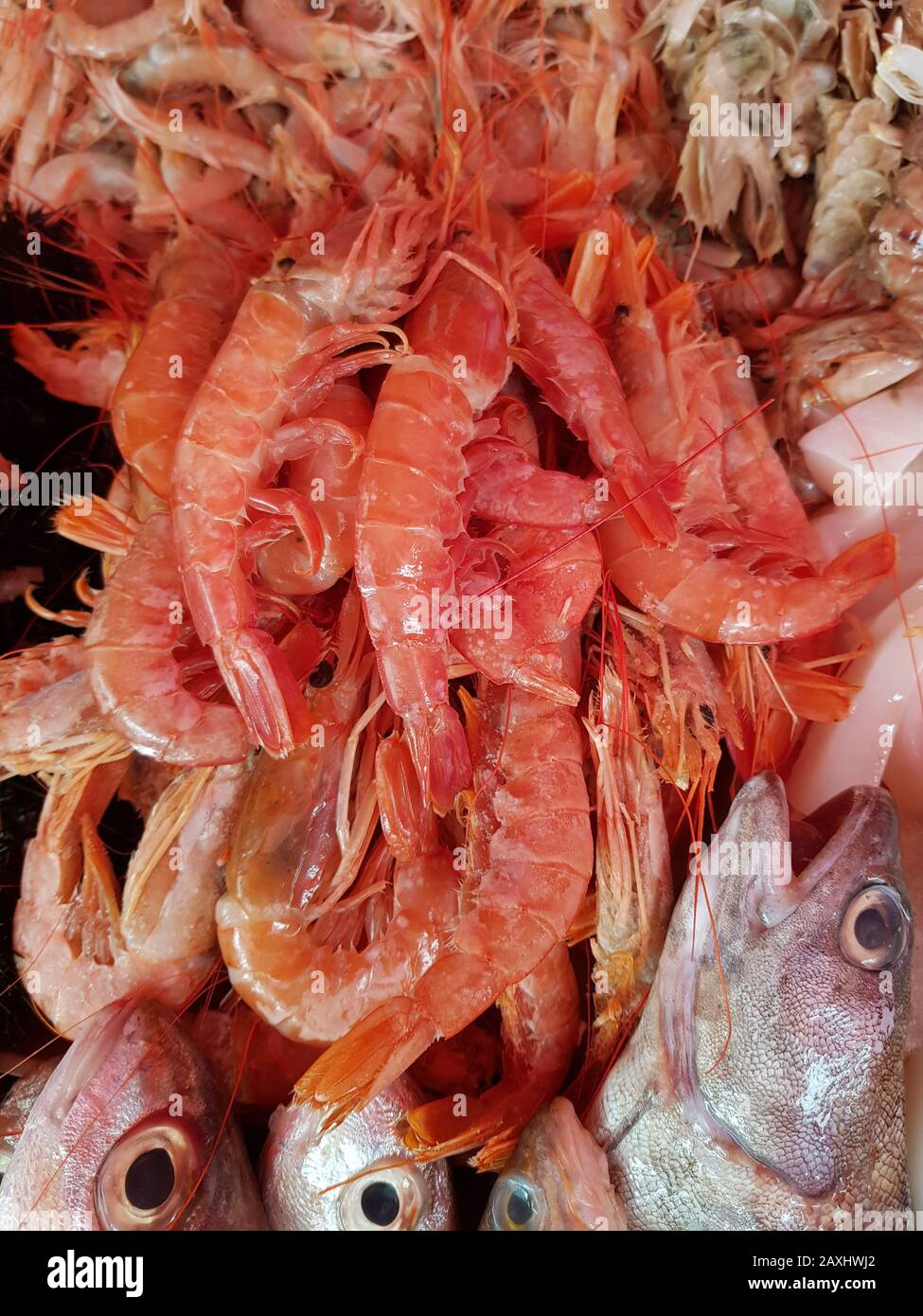 Seafood Assortment close-up: shrimp, fish and more Stock Photo - Alamy