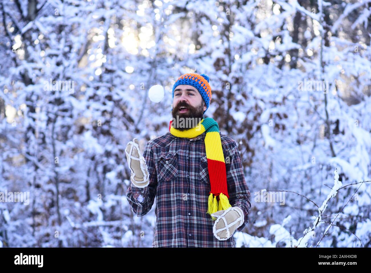 Macho with beard and mustache plays with snowball. Guy with forest ...