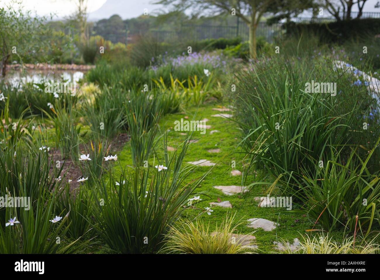 Garden flowers view hi-res stock photography and images - Alamy