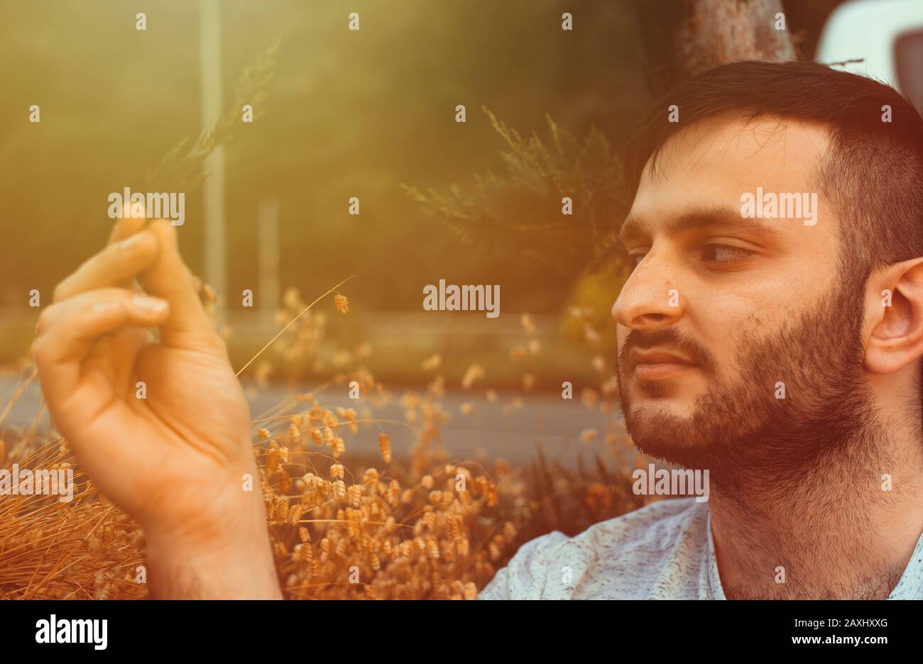 Hand man holding flowers flower hi-res stock photography and images - Alamy