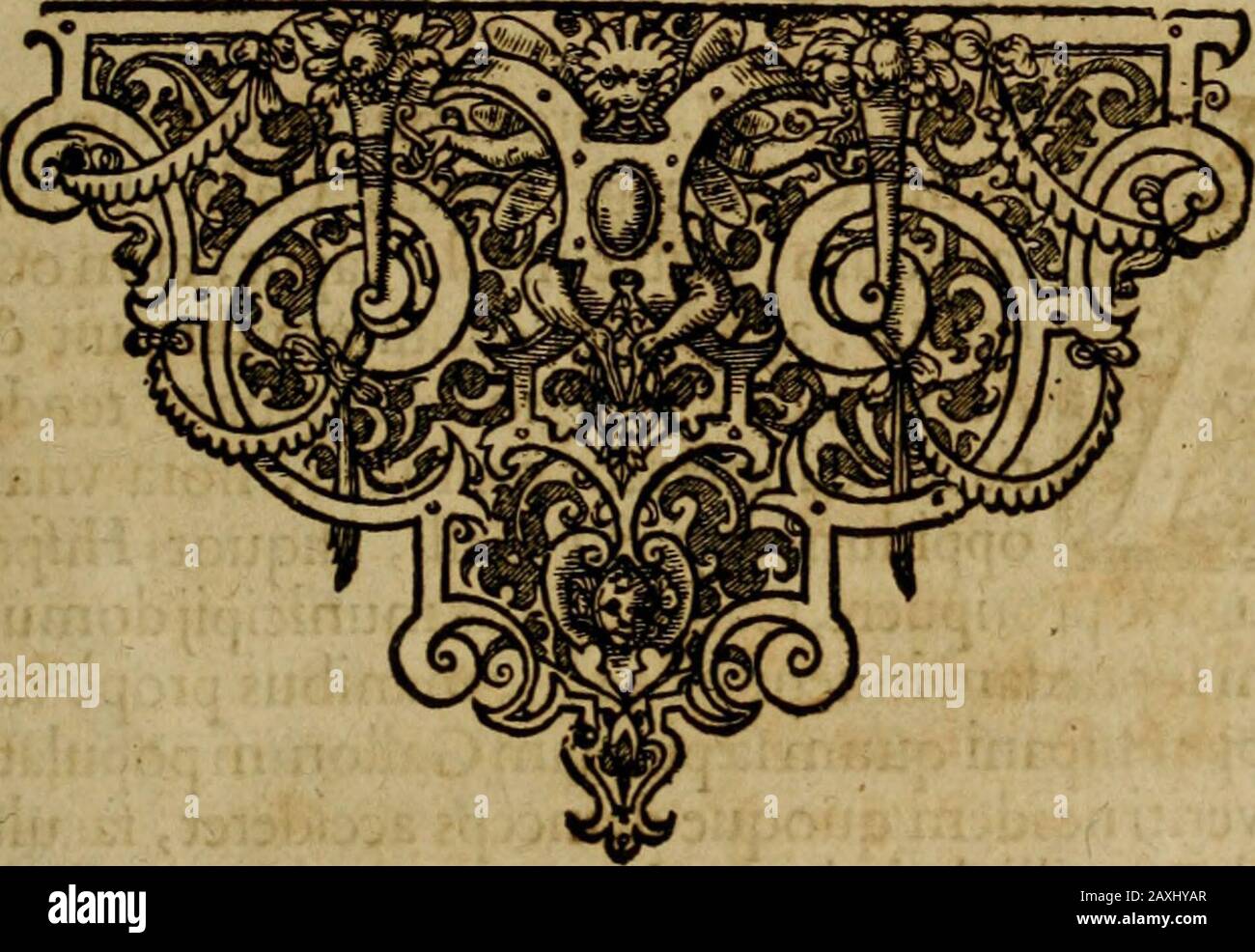 Itaque hi-res stock photography and images - Alamy