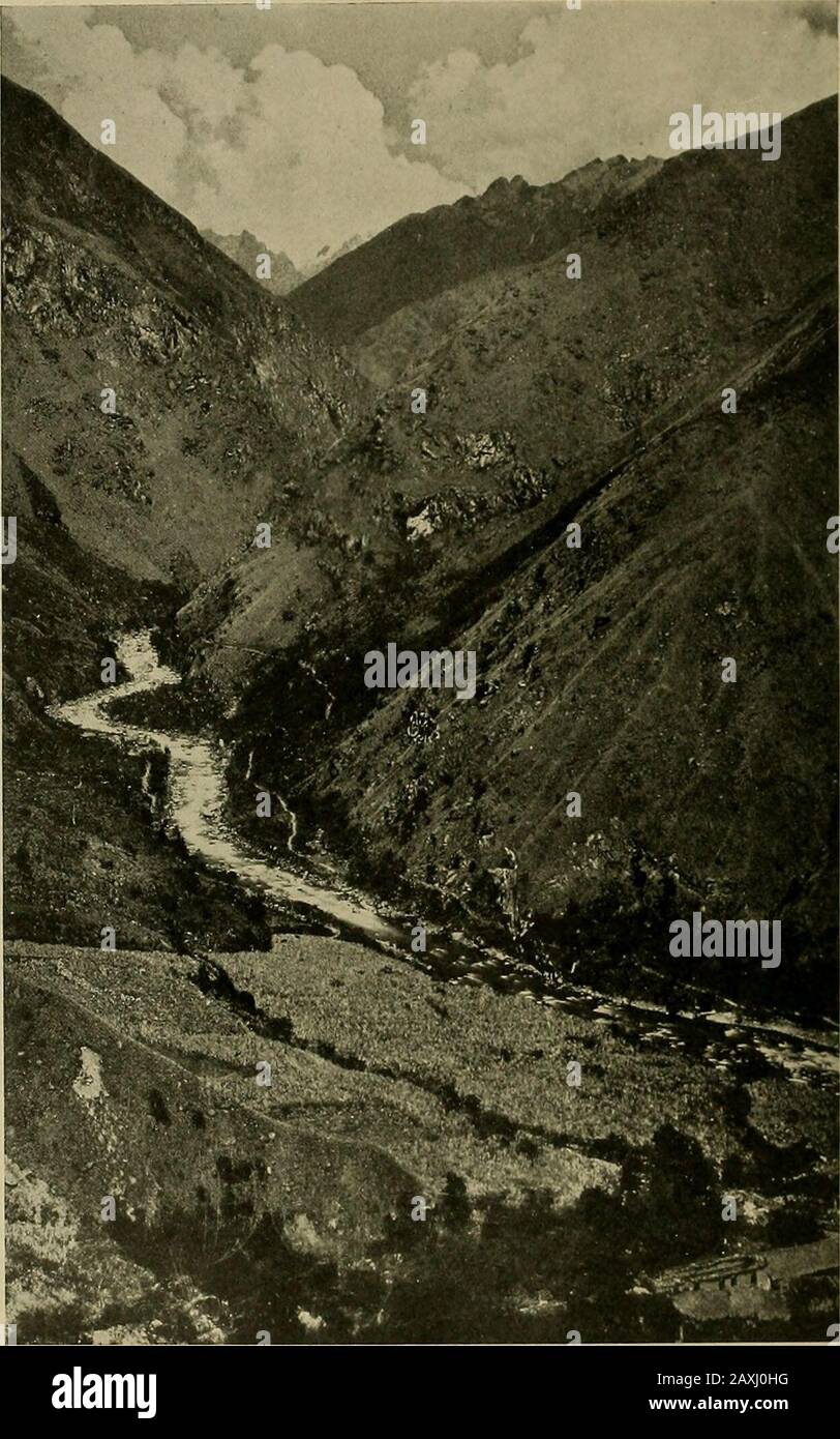 The Andes of southern Peru . Fig. 2. Fig. 1—Tropical vegetation ...