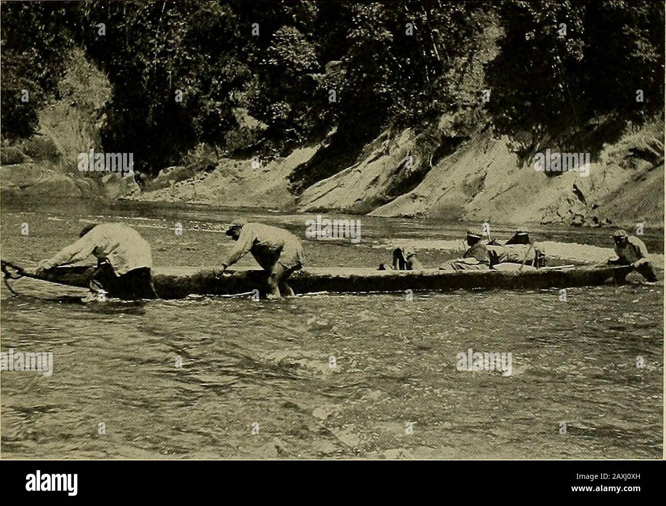 The Andes of southern Peru . Fig. 1.. Fig. 2. Fig. 1—Tropical ...